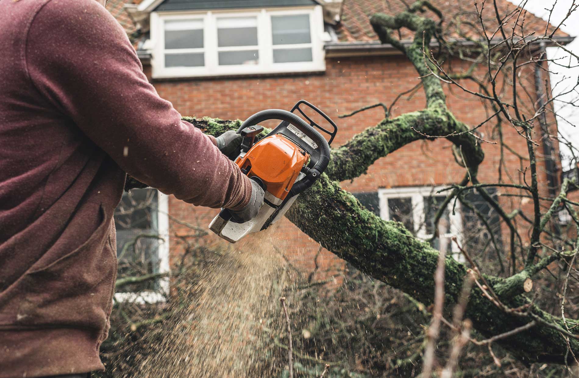 Pruning Trees for Safety - Twin Rivers Tree Service & Landscaping