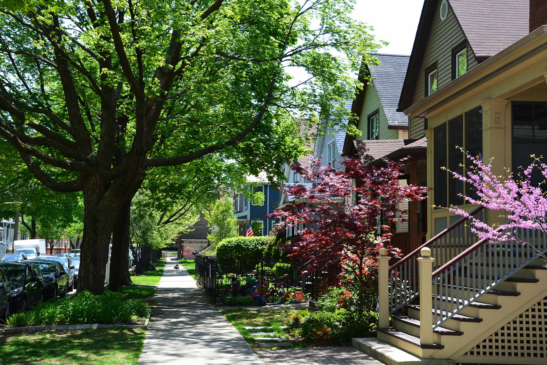 The Benefits of Urban Trees - Twin Rivers Tree Service & Landscaping